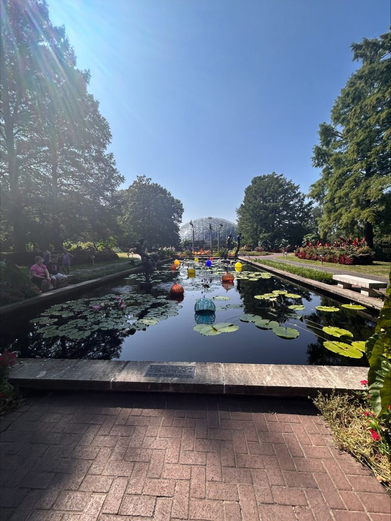 Welcome to CODES Class of ’27 Research Team #1! – CODES Cohort 2027 Team 1