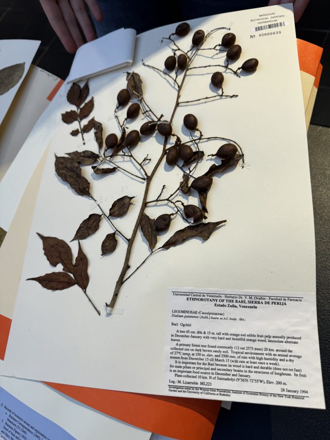 Troy Shaffer – Lab Reflection 1 – CODES Cohort 2027 Team 1